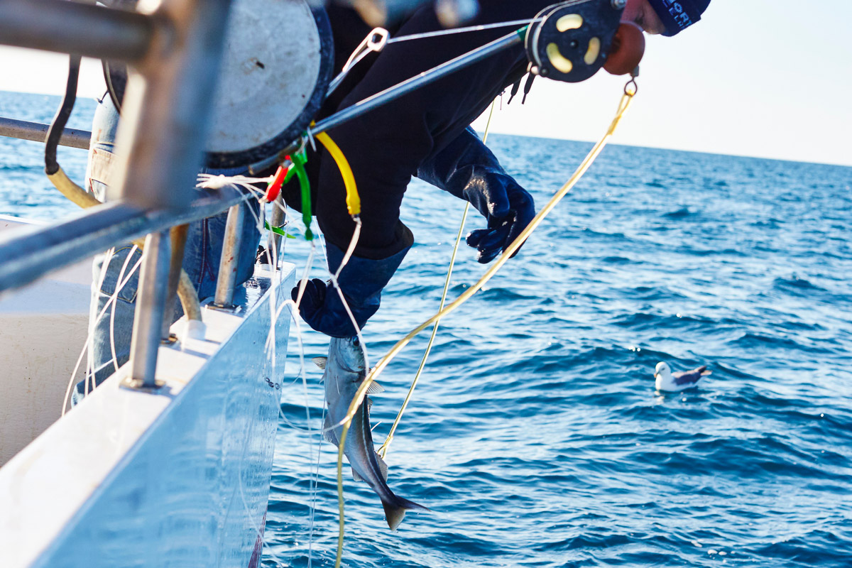 Duurzaam gevangen vis door kleinschalige visserijen | Grutto
